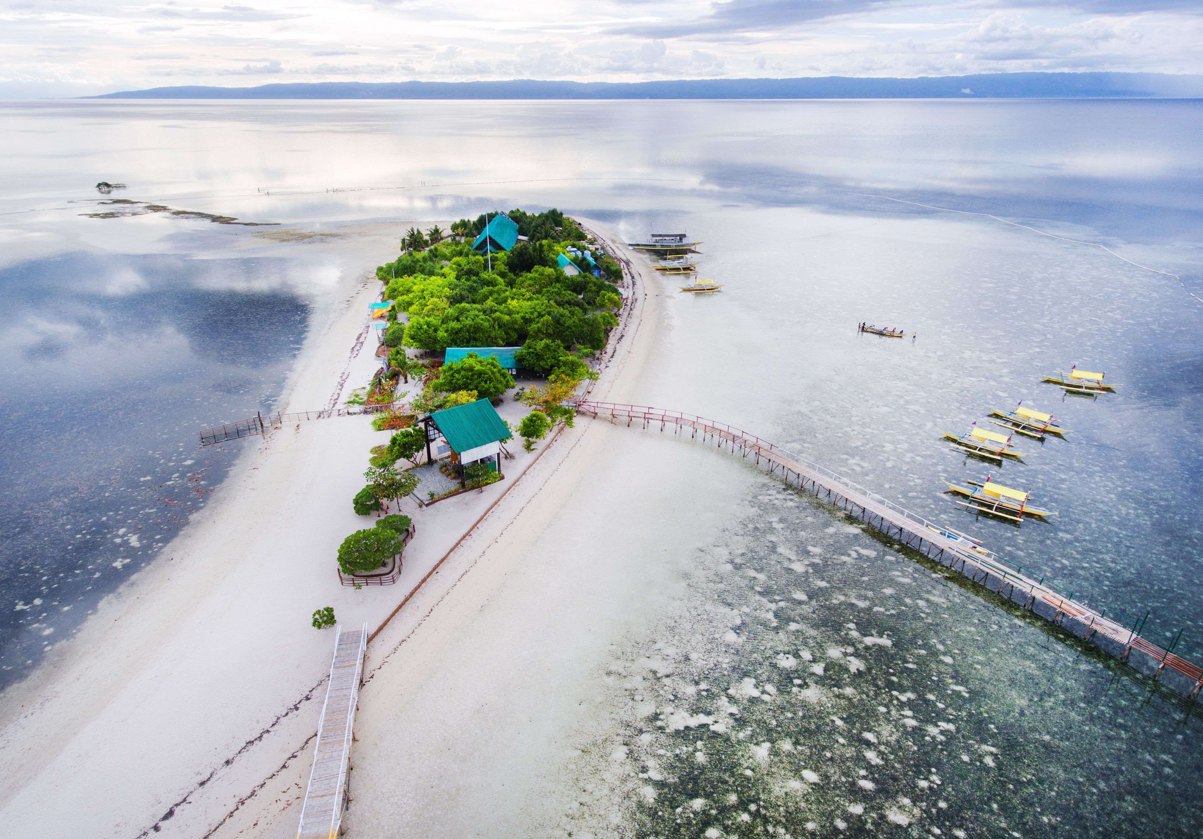 ₱997 Cheap Flights from Manila to Panglao (MNL - TAG) | KAYAK